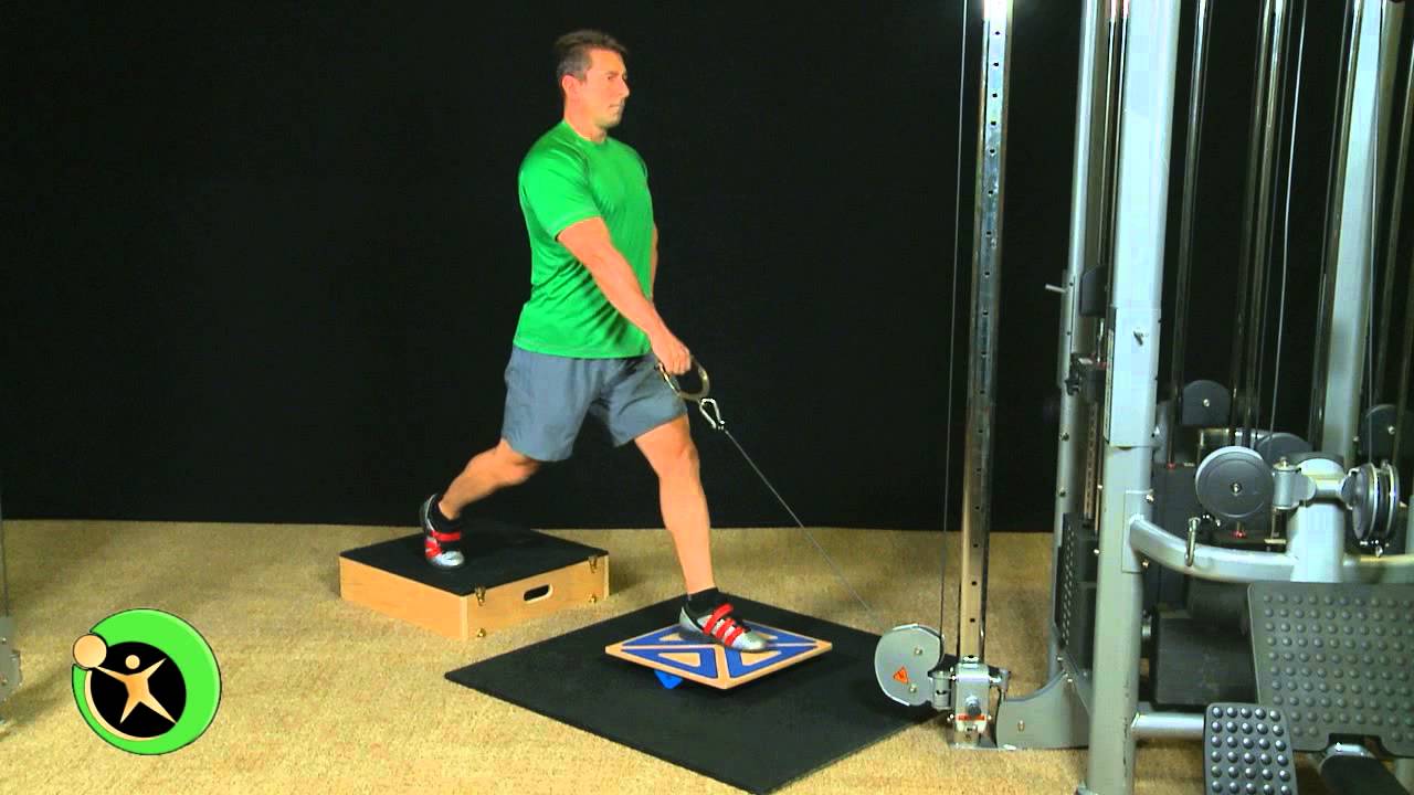 Quadriceps / Split Squat (Bulgarian) - Rocker Board - Low Pulley - YouTube