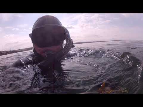 nageur de combat/frogman/woman - YouTube