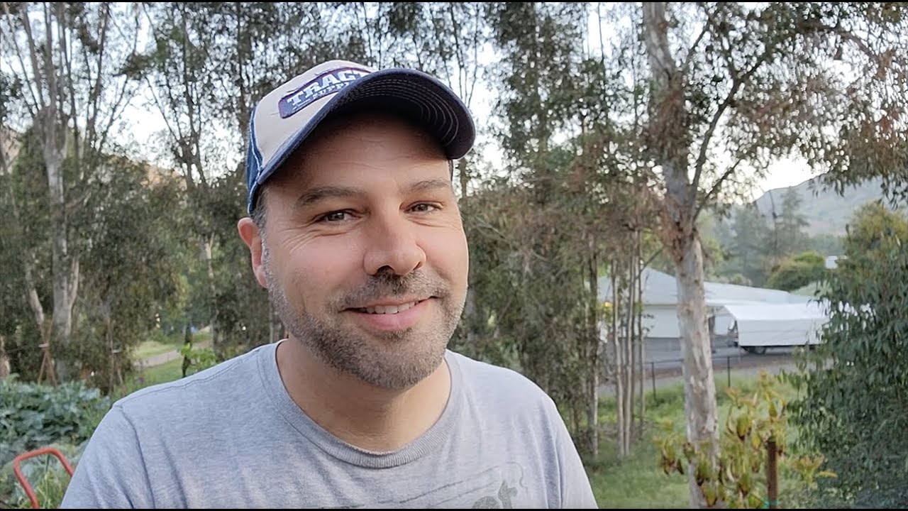 Homestead Update and NEW Animals! - YouTube