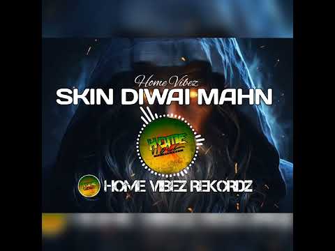 Skin Diwai Mahn - Home Vibez (Official Audio)