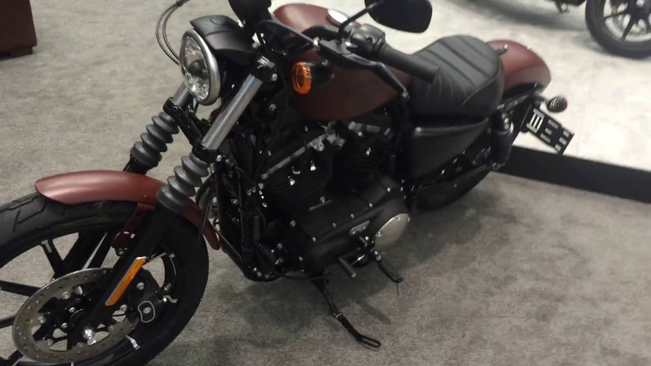 2017 Harley-Davidson Iron 883 in Red Iron Denim from San Diego H-D ...