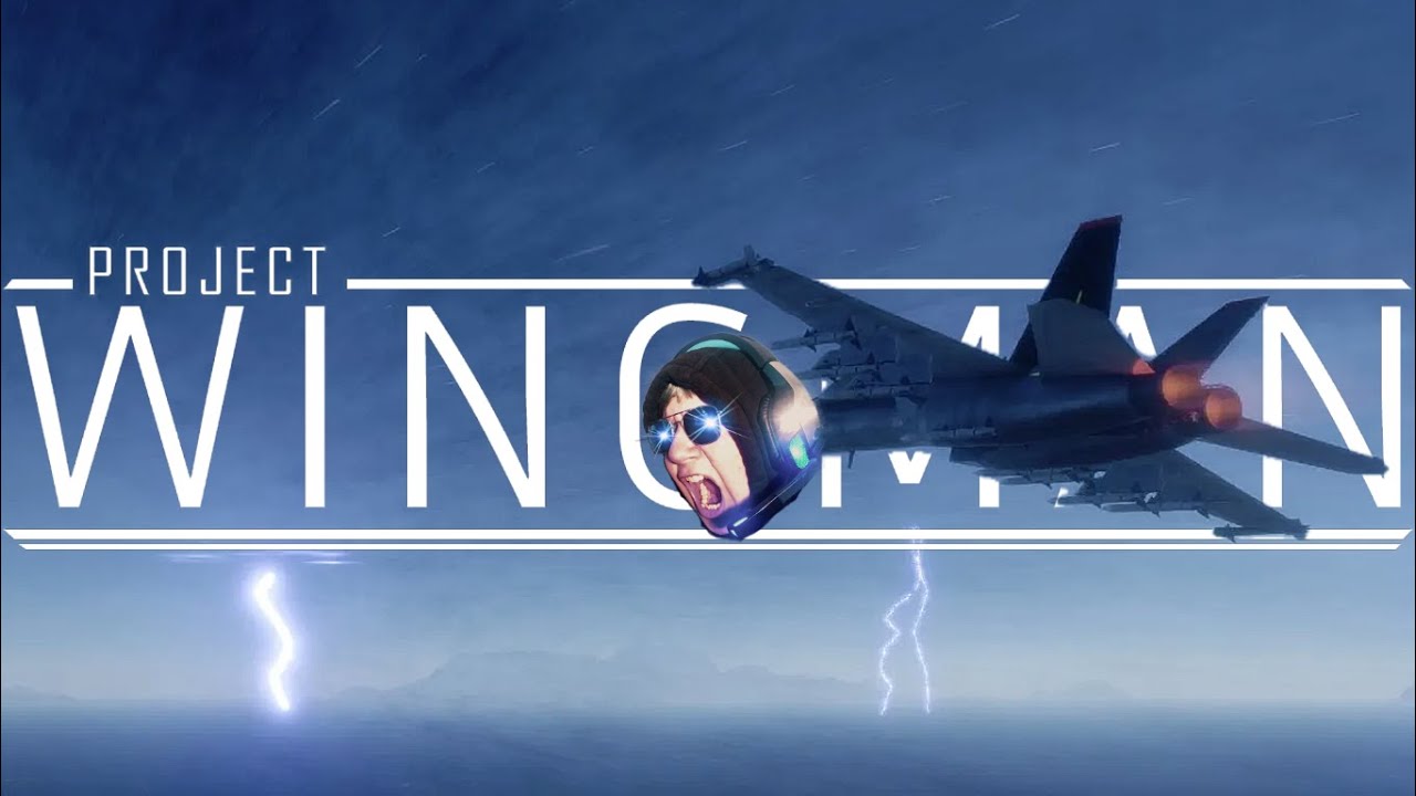 Fighting the Federation | Project Wingman part 2 - YouTube