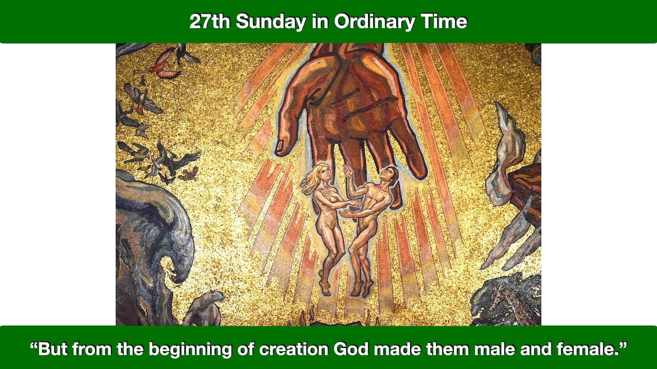 The two become one flesh. Homily for the 27th Sunday in Ordinary Time ...