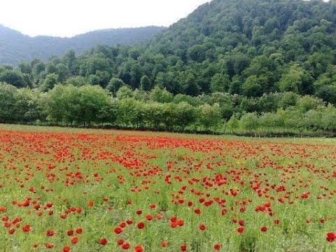 Batı Ermenistan'ı tanıyalım: Şarur