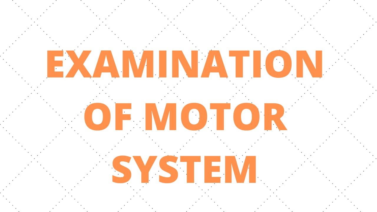 EXAMINATION OF MOTOR SYSTEM - YouTube