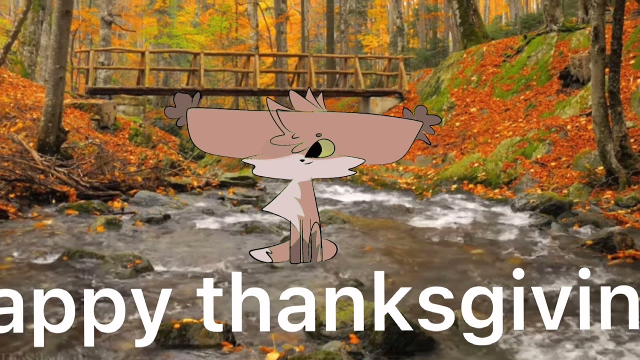 Happy Thanks Giving || Special || Ber Zer Ker || Meme - YouTube