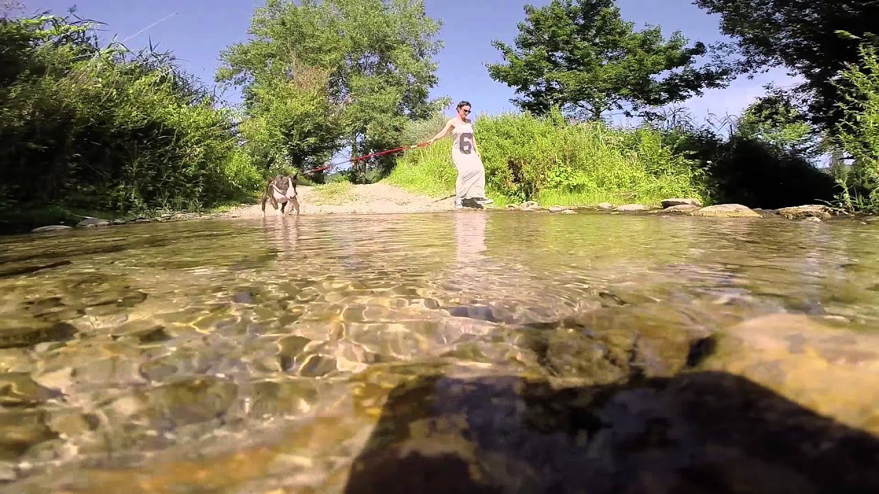 Pandora at the river - YouTube