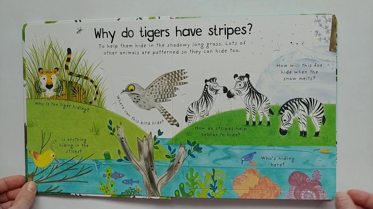 Why Do Tigers Have Stripes? - Usborne Books at Home - YouTube