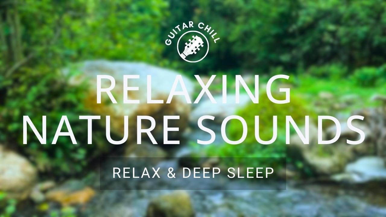 Nature sounds, Relaxing Music - Guitar Music - Birdsong & Water Sound ...