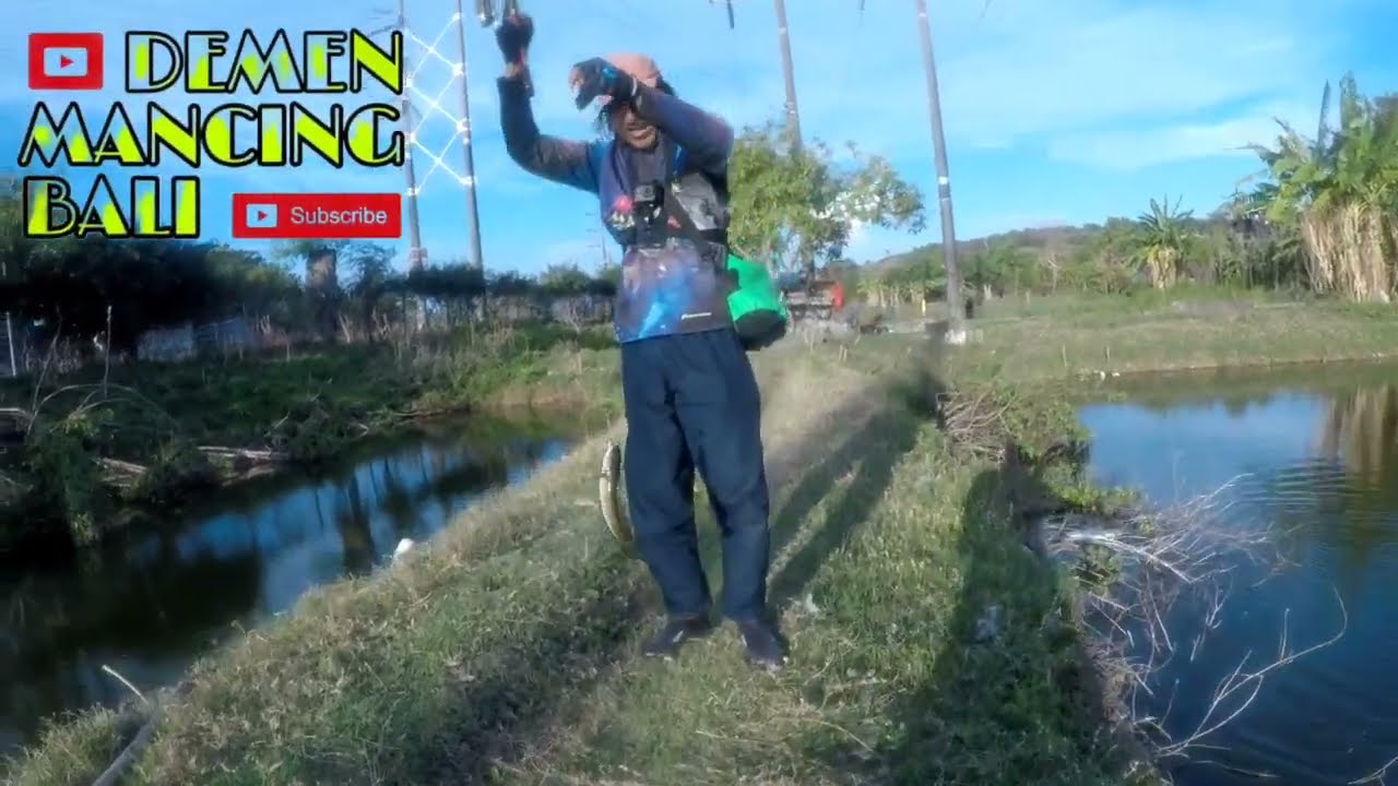 Mancing casting bareng Pak Gede Demen mancing bali di spot bekas tambak ...