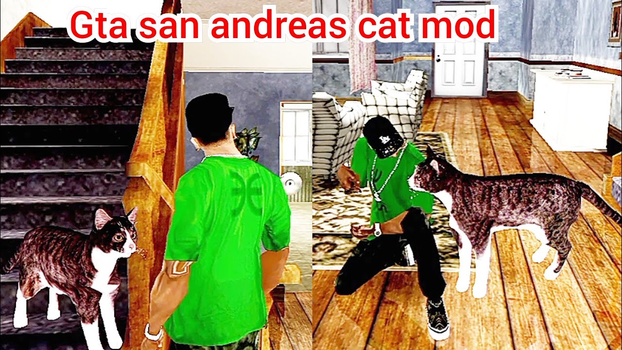 gta san andreas cat mod / in Android / sitement gaming - YouTube