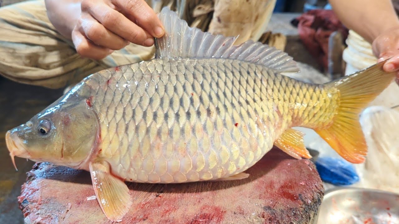 Incredible Live Carp Fish Cutting & Chopping In Fish Market Bangladesh ...