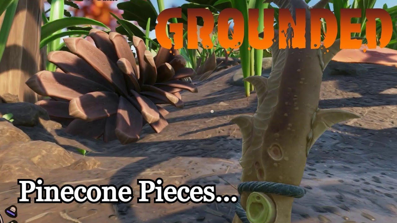 Pinecone Pieces... Grounded Ep 43 - YouTube