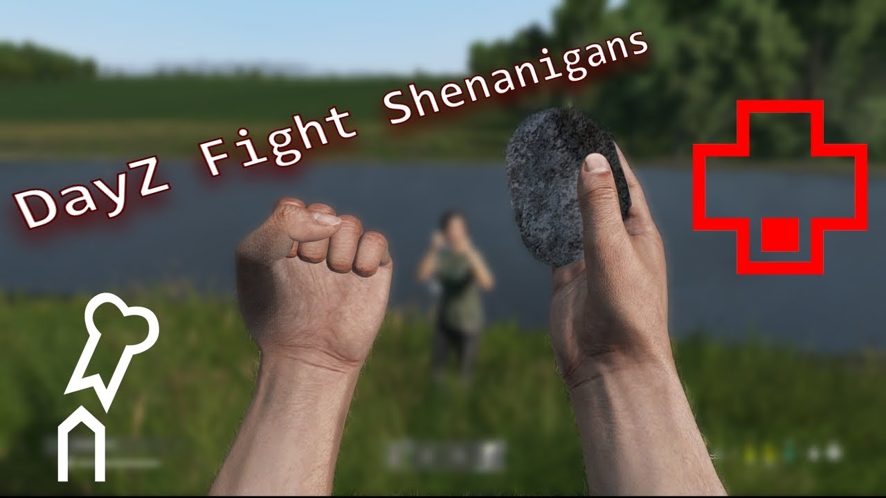 DayZ Fist Fight Shenanigans! - YouTube