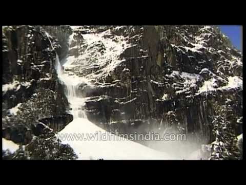 Powder snow avalanche in the Himalayas! - YouTube