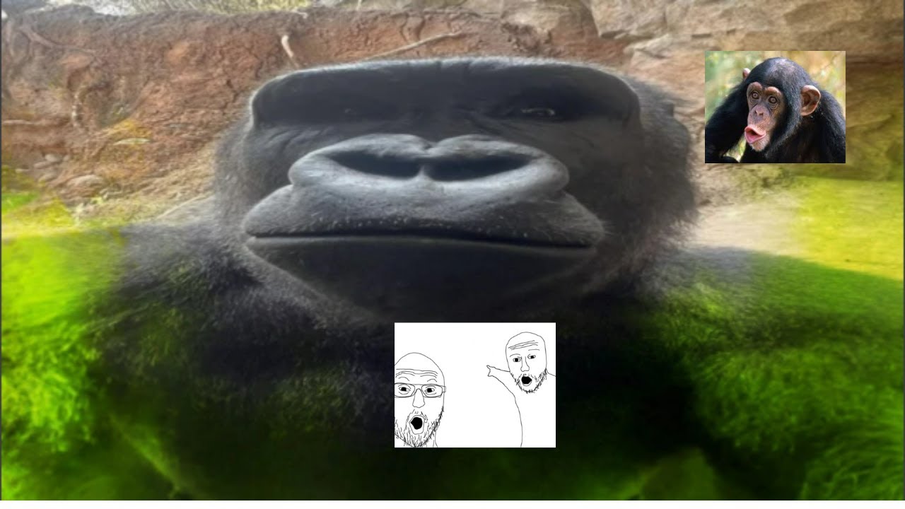 OBBY BUT YOU'RE A STINKY GORILLA - YouTube