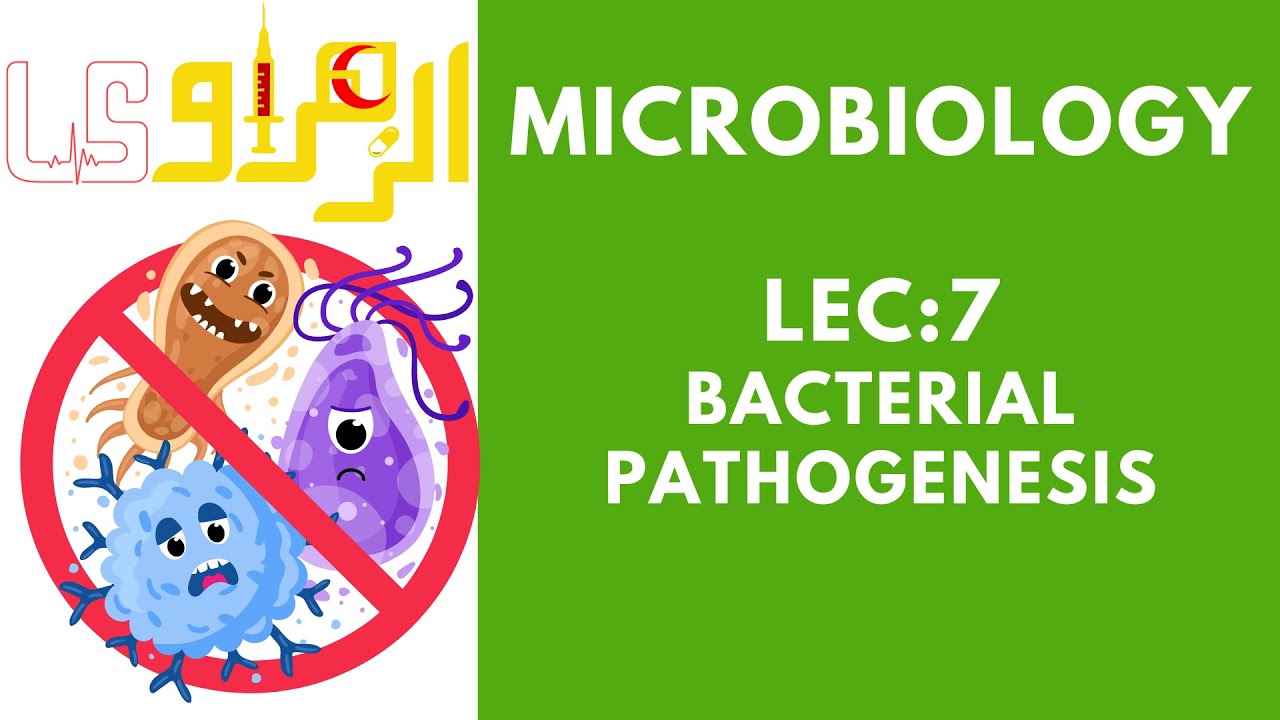 General microbiology 7th lec: bacterial pathogenesis - YouTube