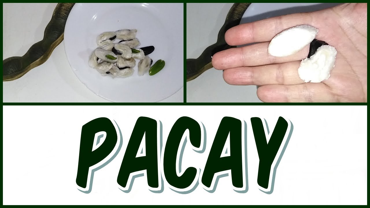 BENEFICIOS Y PROPIEDADES DEL PACAY - YouTube