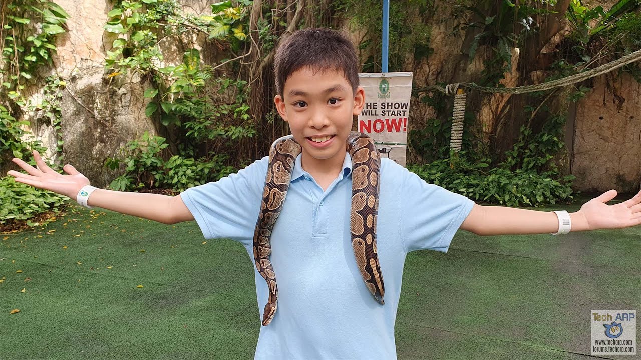 Ryan's Autism Journey : How To Be The Miracle! - YouTube