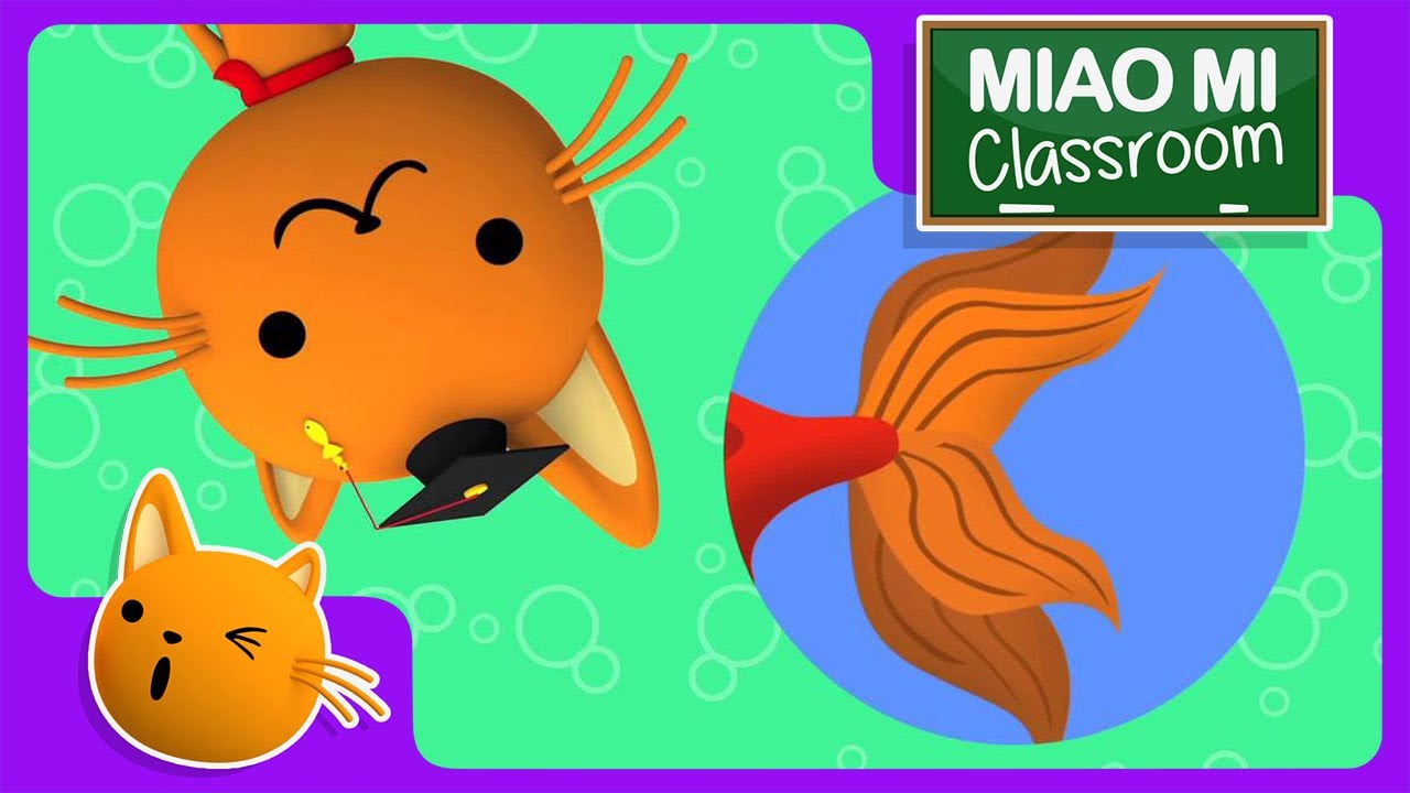 Miao Mi Classroom - Goldfish | Learn Mandarin for Kids - YouTube