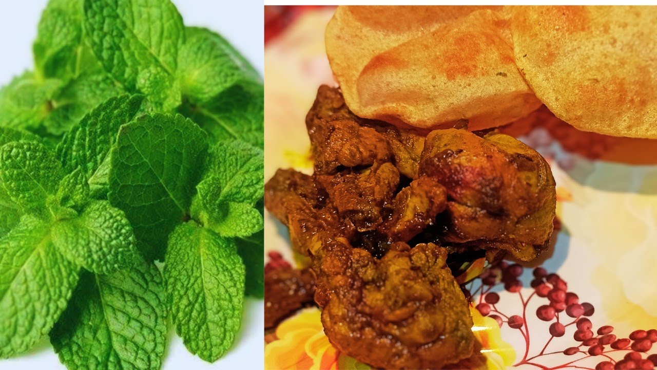 Pudina🌿 Chicken🍗Recipe | Mint Chicken Dry | Chicken Recipe | Kitchen ...