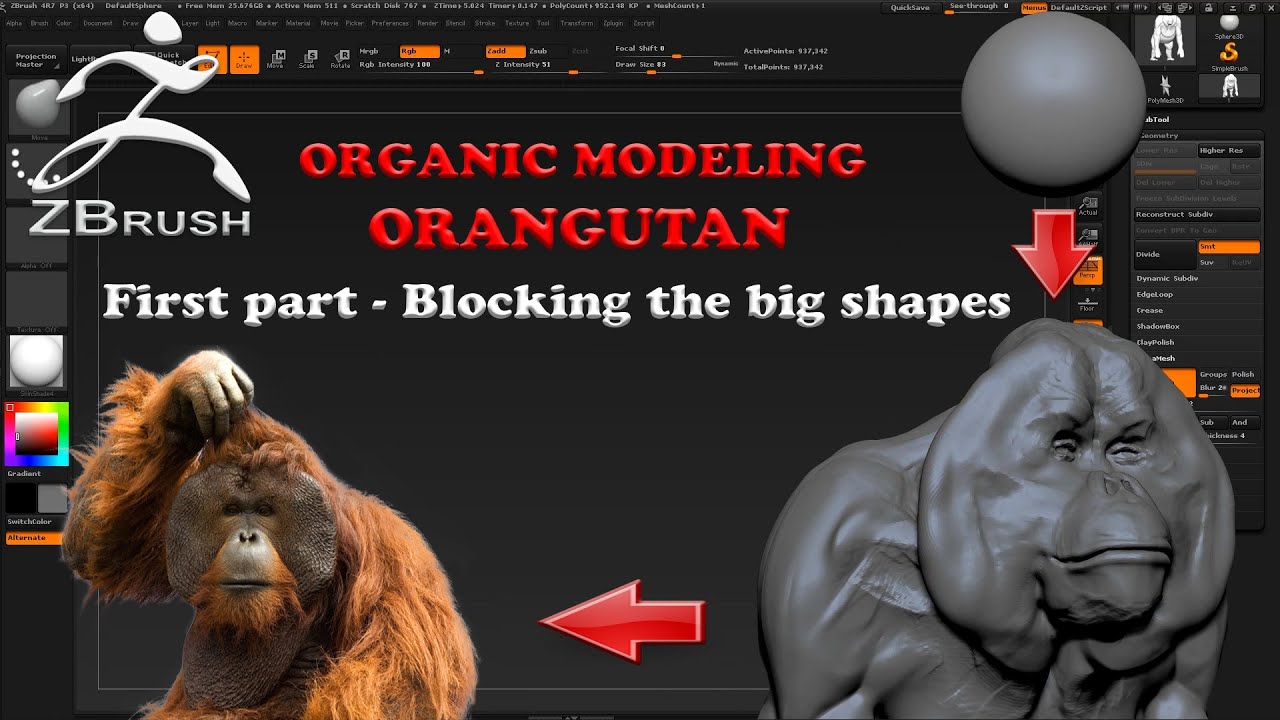 Organic Modeling - ORANGUTAN Part 1 Zbrush 4R7 - YouTube