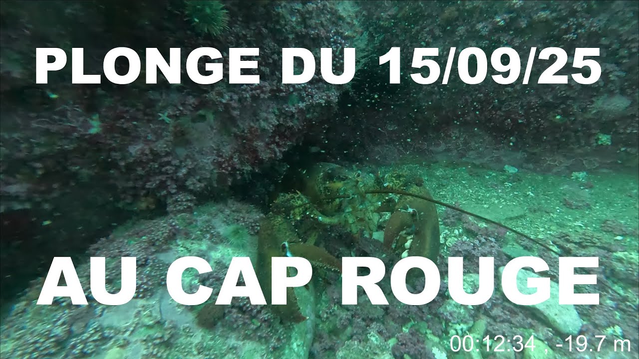 Plongée du 15/09/25 au Cap Rouge - YouTube