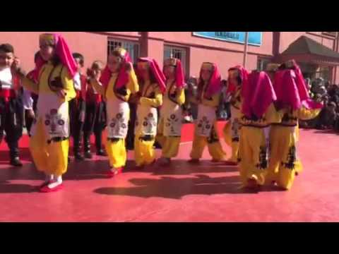 Uğurböcekleri - yeşil ördek