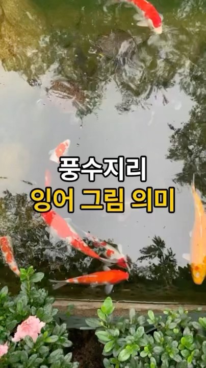 잉어 그림 의미 풍수지리풍수액자 풍수그림 풍수인테리어 잉어그림 Youtube