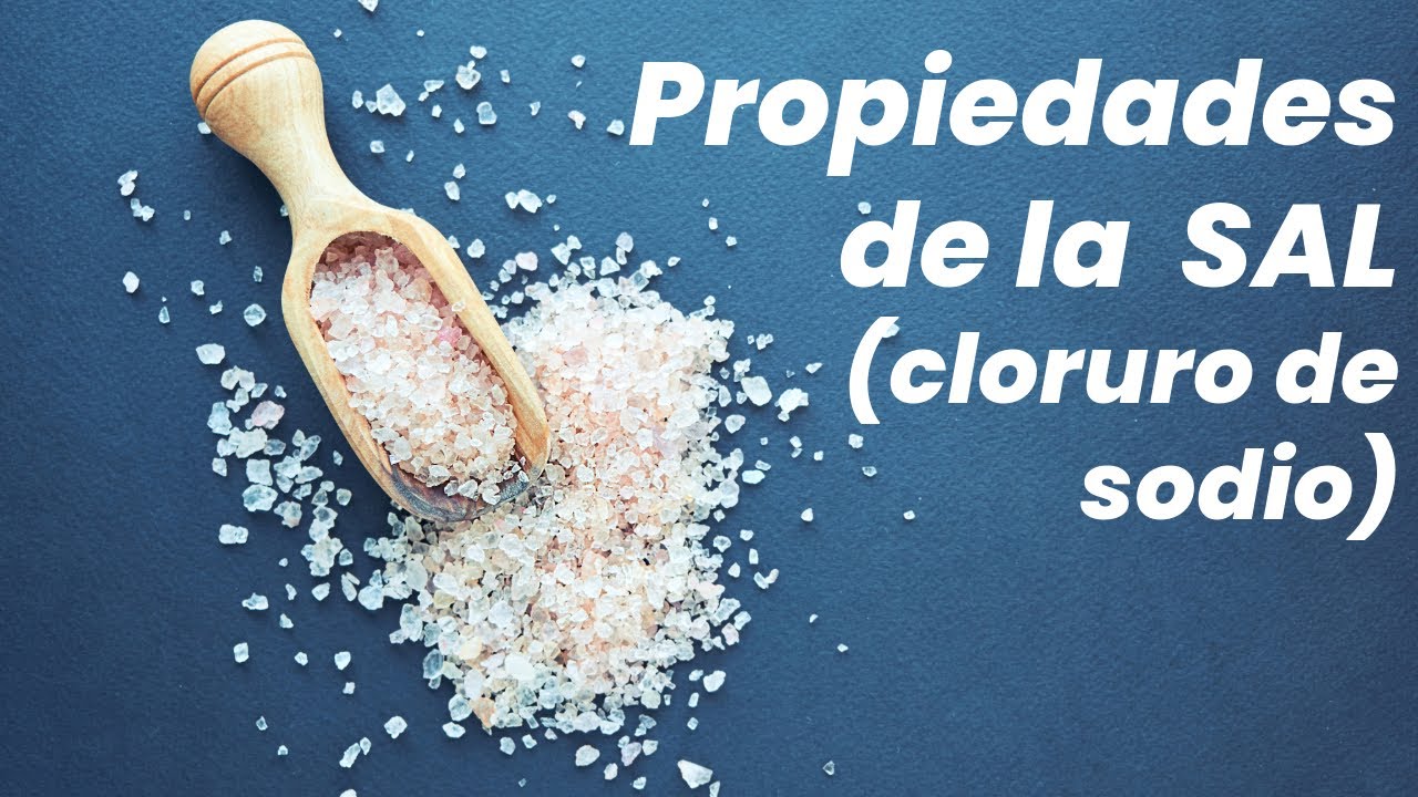 Propiedades de LA SAL - YouTube