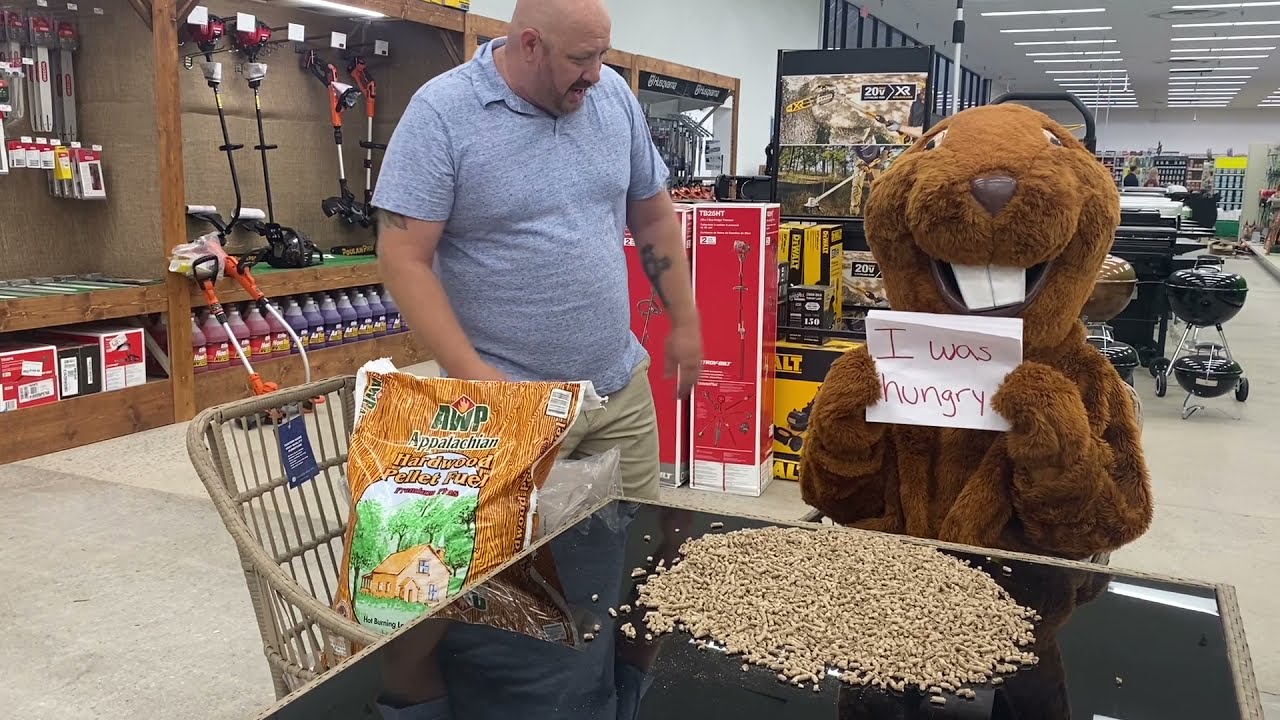 Buddy The Beaver Wood Pellet Pre-Sale! - YouTube