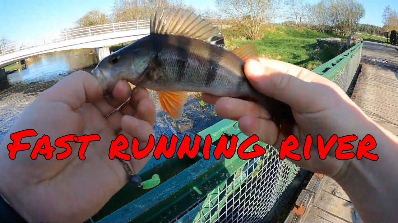 How to find fish in river #short - YouTube