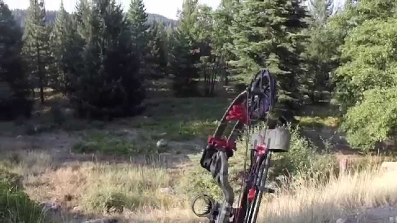 Hmong hunting D6 zone (archery sneak peek) - YouTube