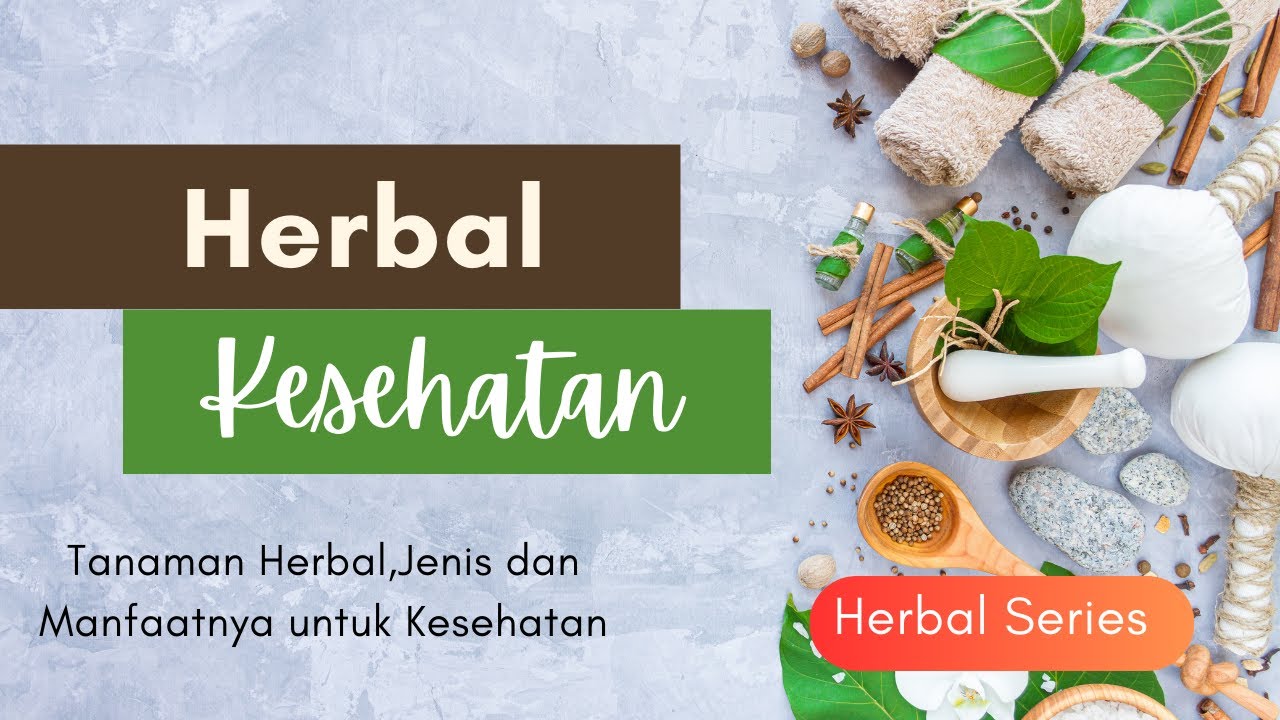 Tanaman Herbal,Jenis dan Manfaatnya untuk Kesehatan - YouTube