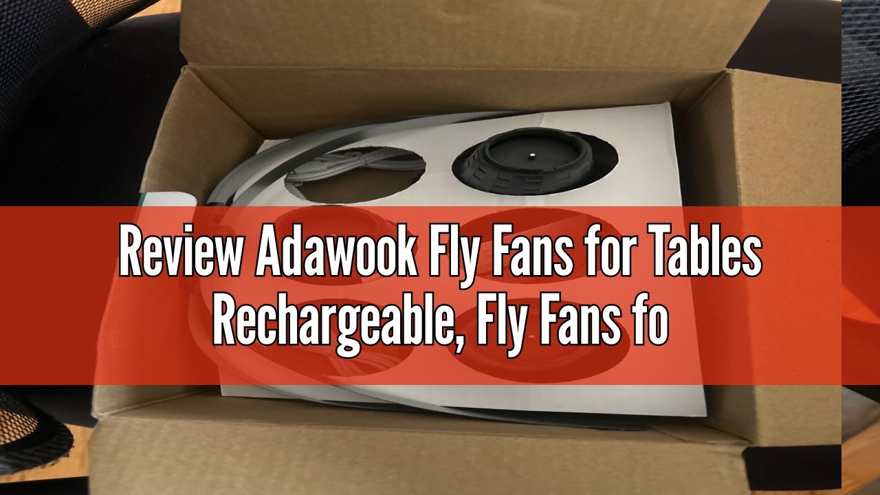 Review Adawook Fly Fans for Tables Rechargeable, Fly Fans for Outdoor ...