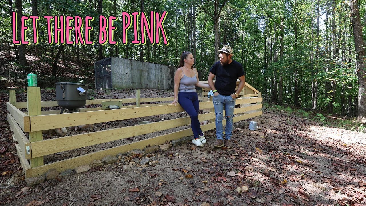 Majestic Farms Homesteading | let The Pig Pen Be Pink At The Homestead ...