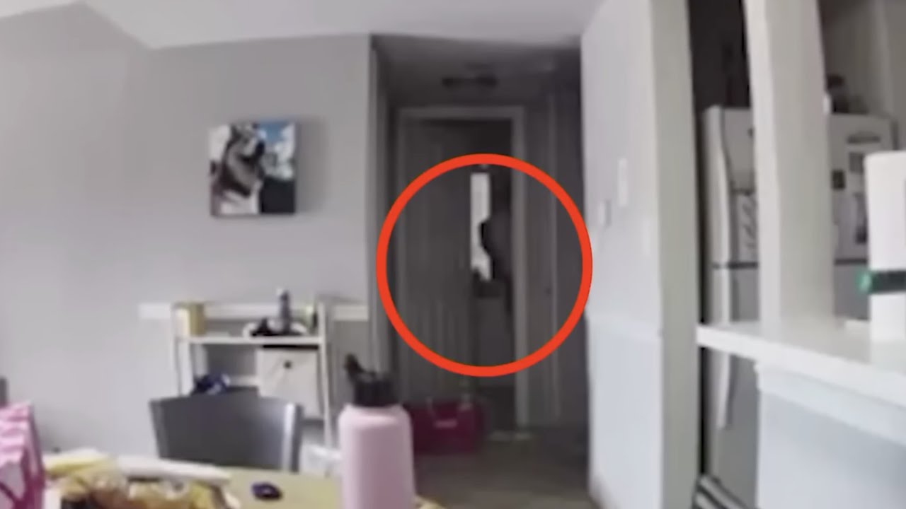 Most Scary Videos You'll Ever See - YouTube