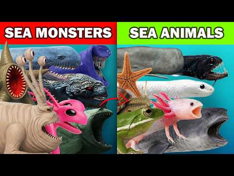Sea Monsters and Sea Animals Lookalike Compared