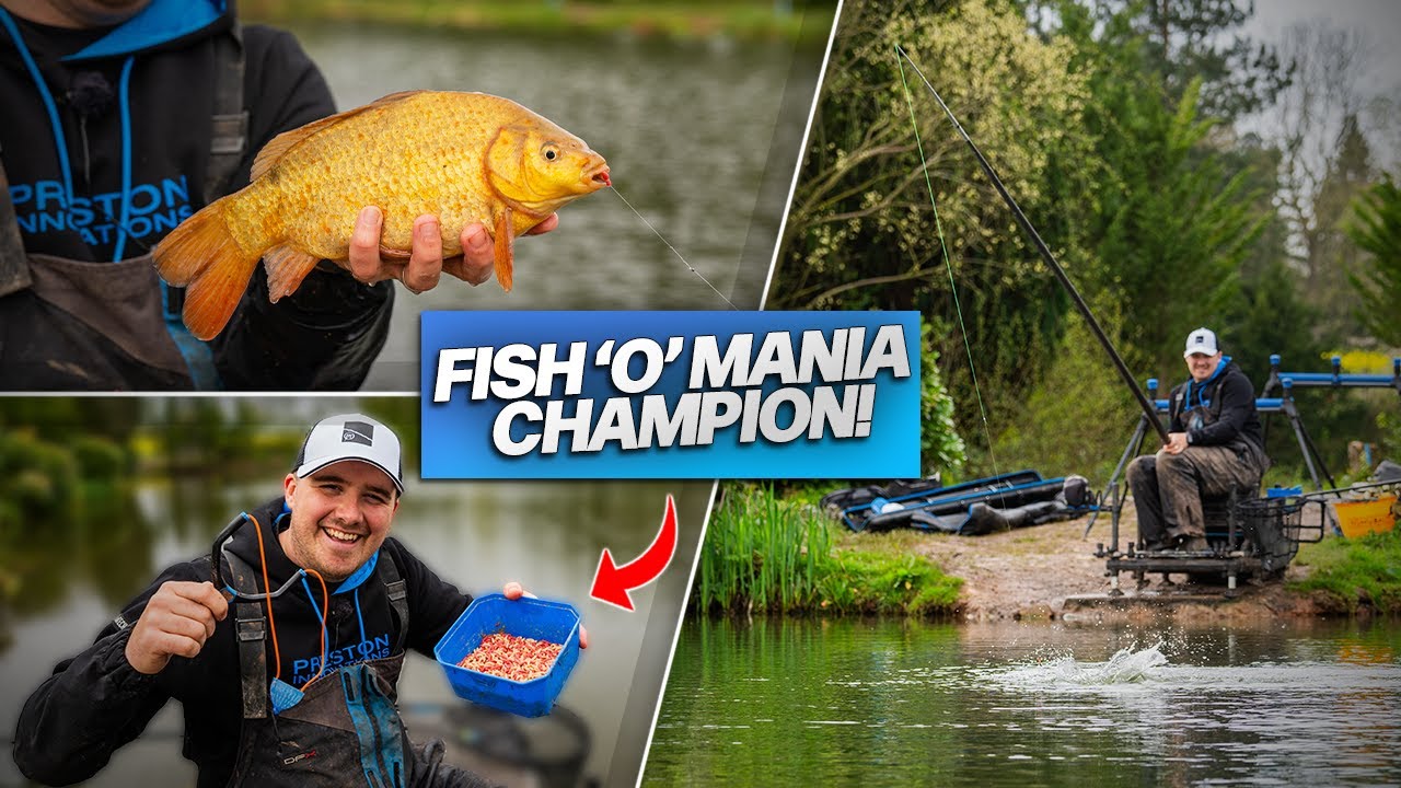 Catch EVERYTHING Shallow Fishing! | Matty Dawes - YouTube