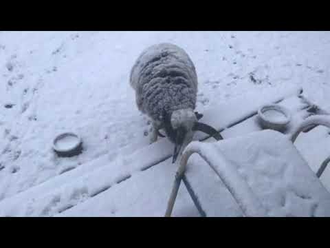 J M Varner farm ( Patsy v seay) - YouTube