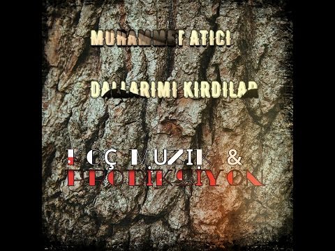 Müthiş Ses! Yarı Türkçe Yarı Kürtçe Damar Şarkı! | Dallarımı Kırdılar — Muhammet ATICI