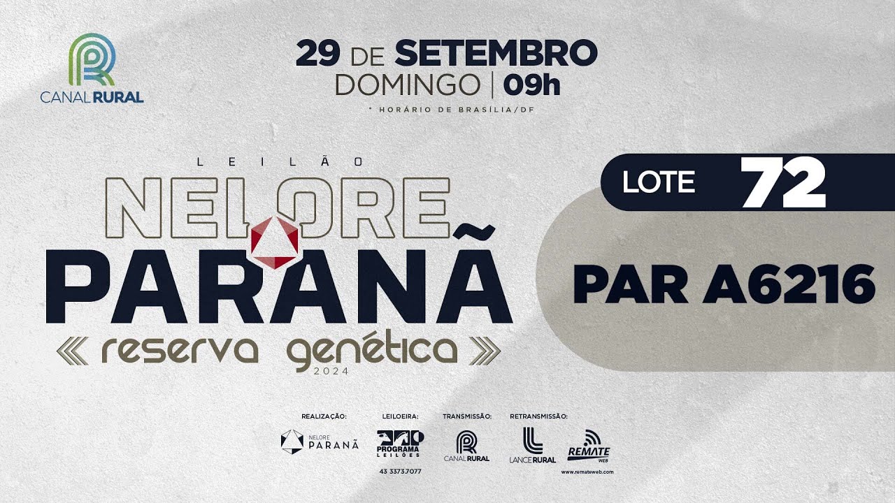 LOTE 72 PAR A6216 - YouTube