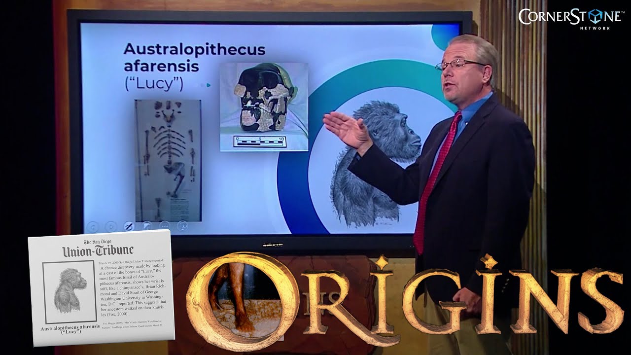 Debunking evolution's "missing link" Lucy & the indoctrination behind her | origins - YouTube