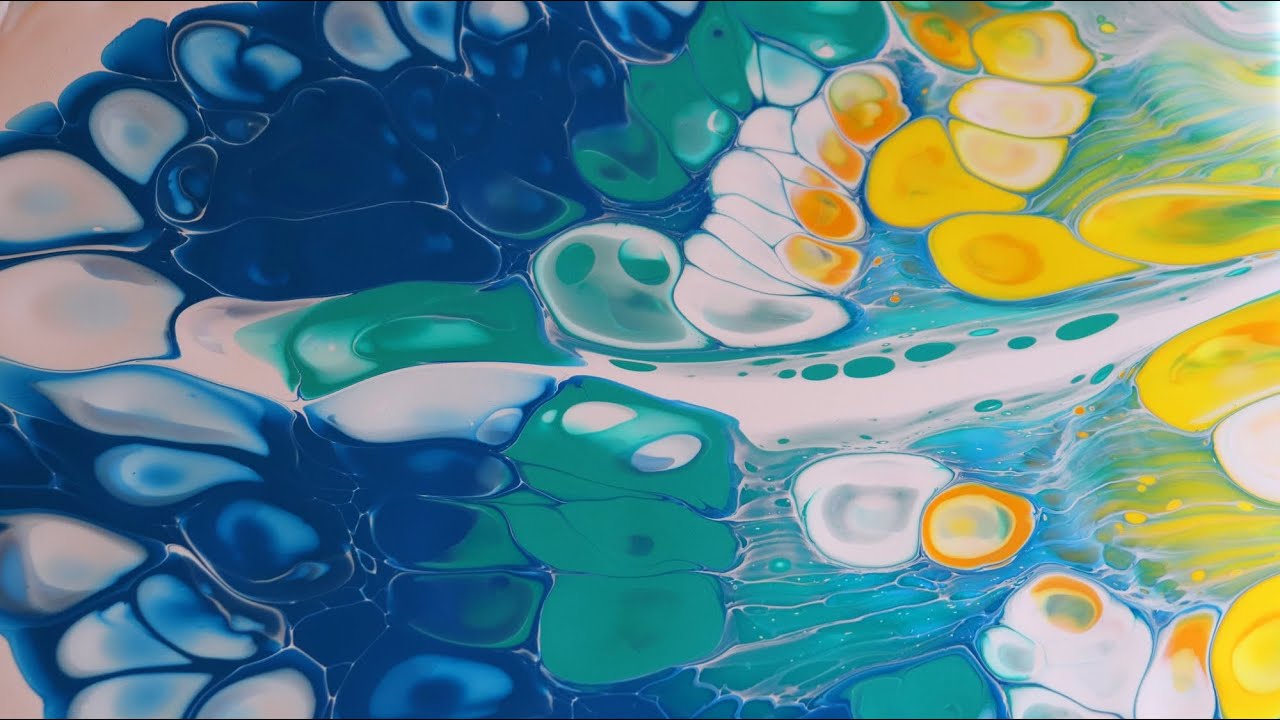 (440) 2 open cups with nice cells 30x40cm - YouTube