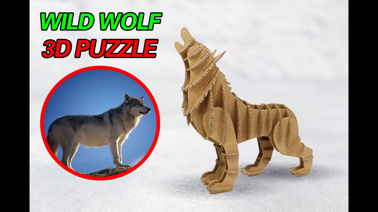 Wolf packs in the wild, wolf models - YouTube