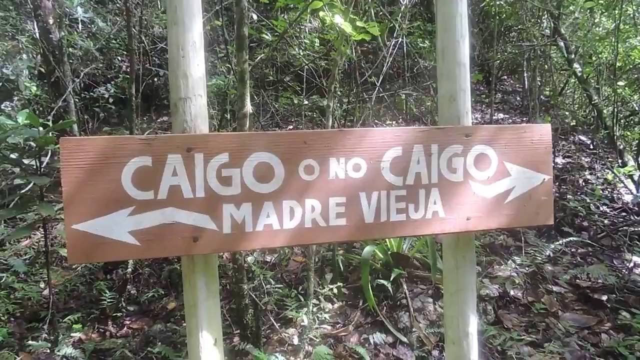 Caigo o no Caigo - YouTube