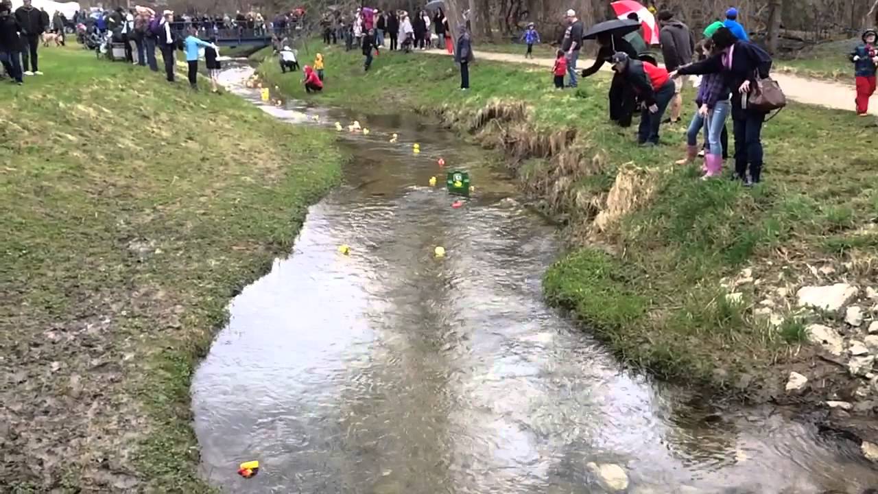 Corporate Duck Race - Stayner Kinsmen Duck Race 2014 - YouTube