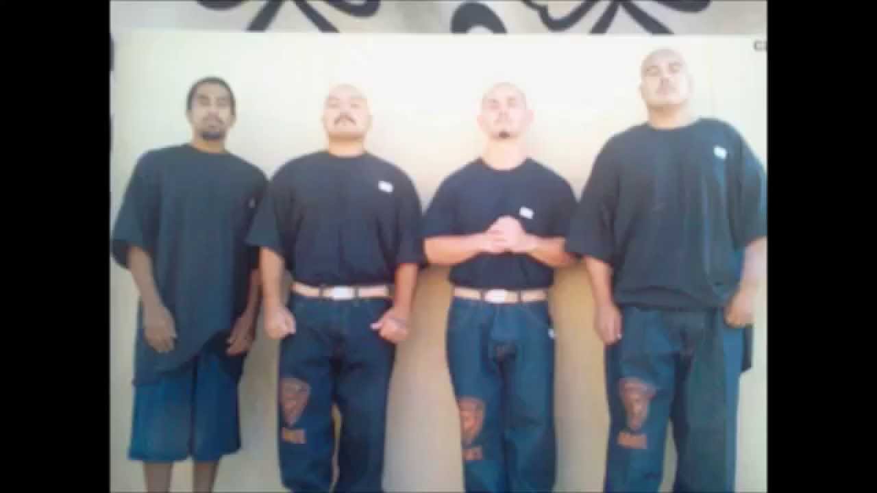 TLS TINY WINOS (Life after death) - YouTube