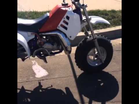 Honda Atc 250R drag bike - YouTube
