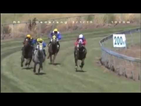 2015 DRC Dederang Picnic Races R6 Open Trophy Handicap - YouTube